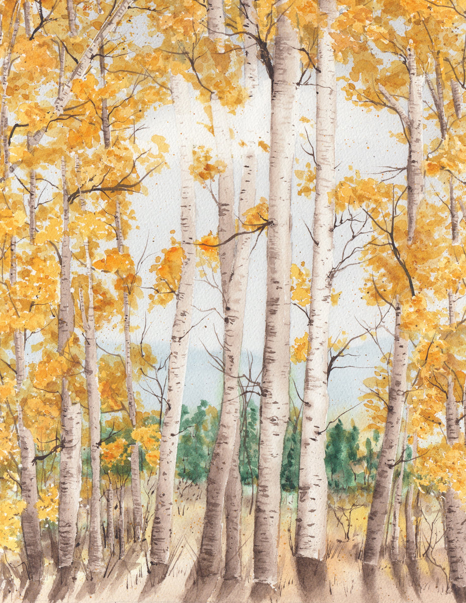 Hope Valley Quaking Aspens Trees, Golden Fall Colors CA California Lan ...