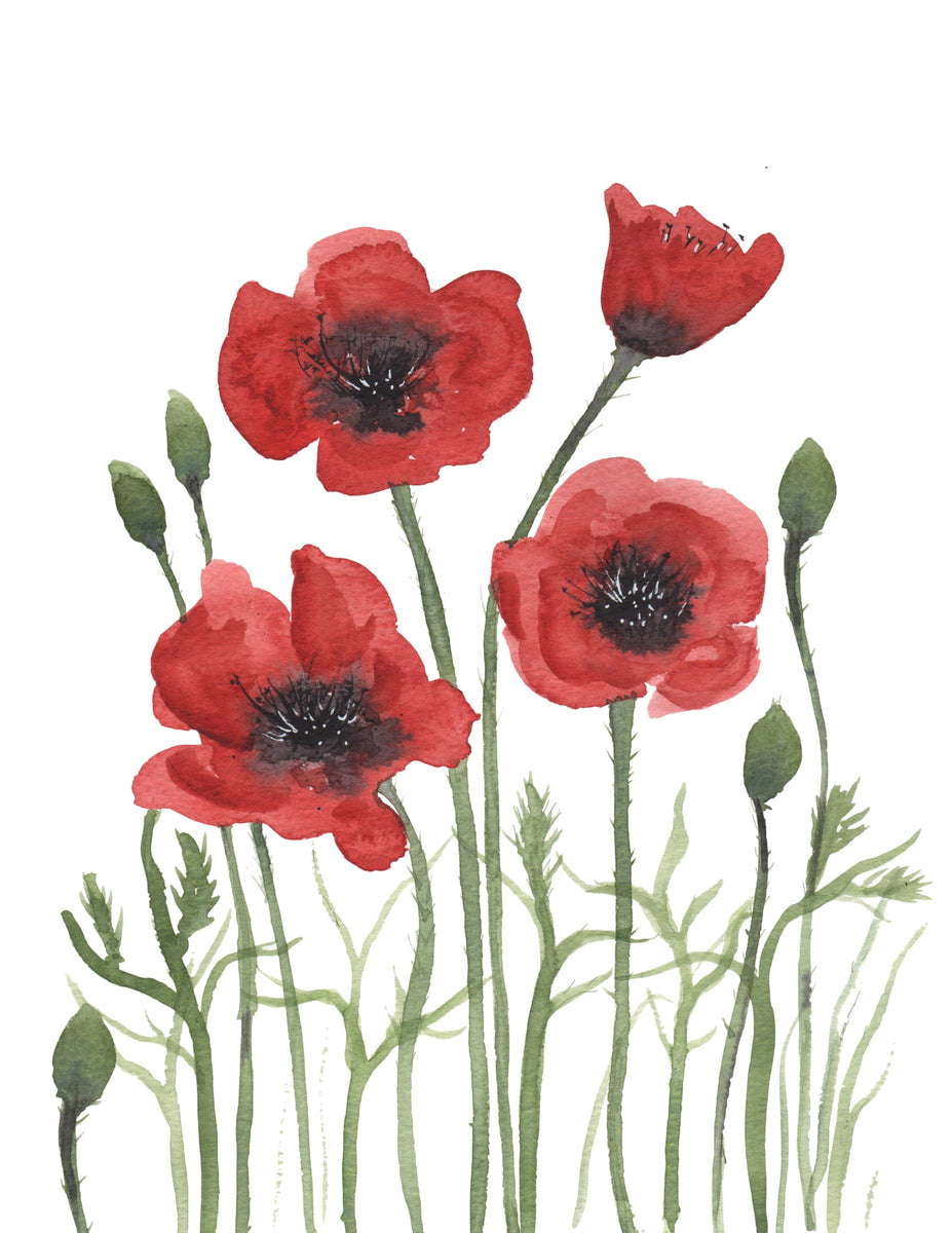 Red Poppy Art Print – Aqua Hue Designs by Tonja Wilcox